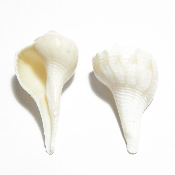 Rudra India : Religious, Yoga, Spiritual and Wellness Products Store ...